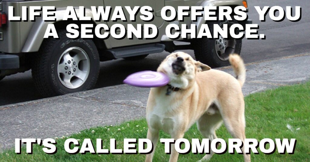 [Meme] Second Chance