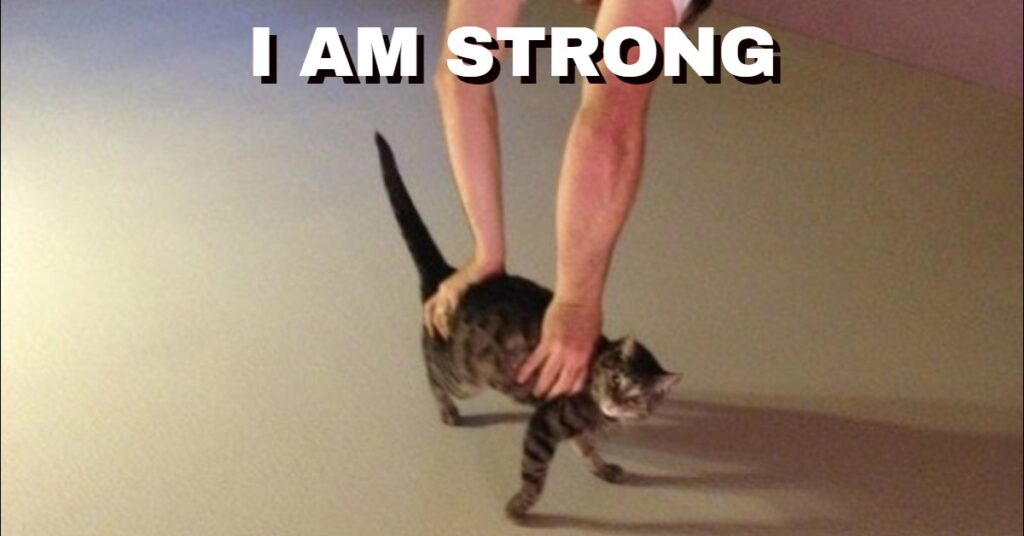[Meme] I Am Strong
